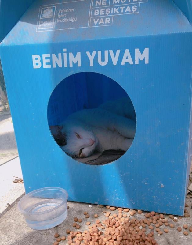 Ekşi Sözlük Kutsal Bilgi Kaynağı