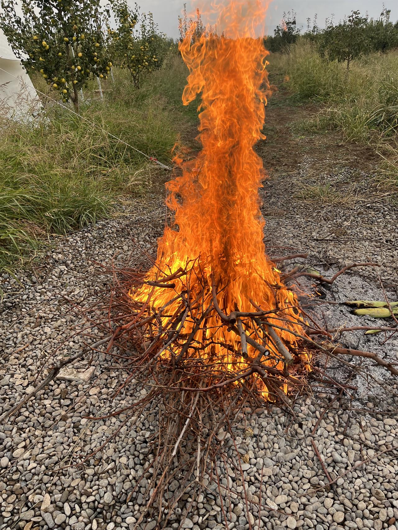 ekşi sözlük - kutsal bilgi kaynağı