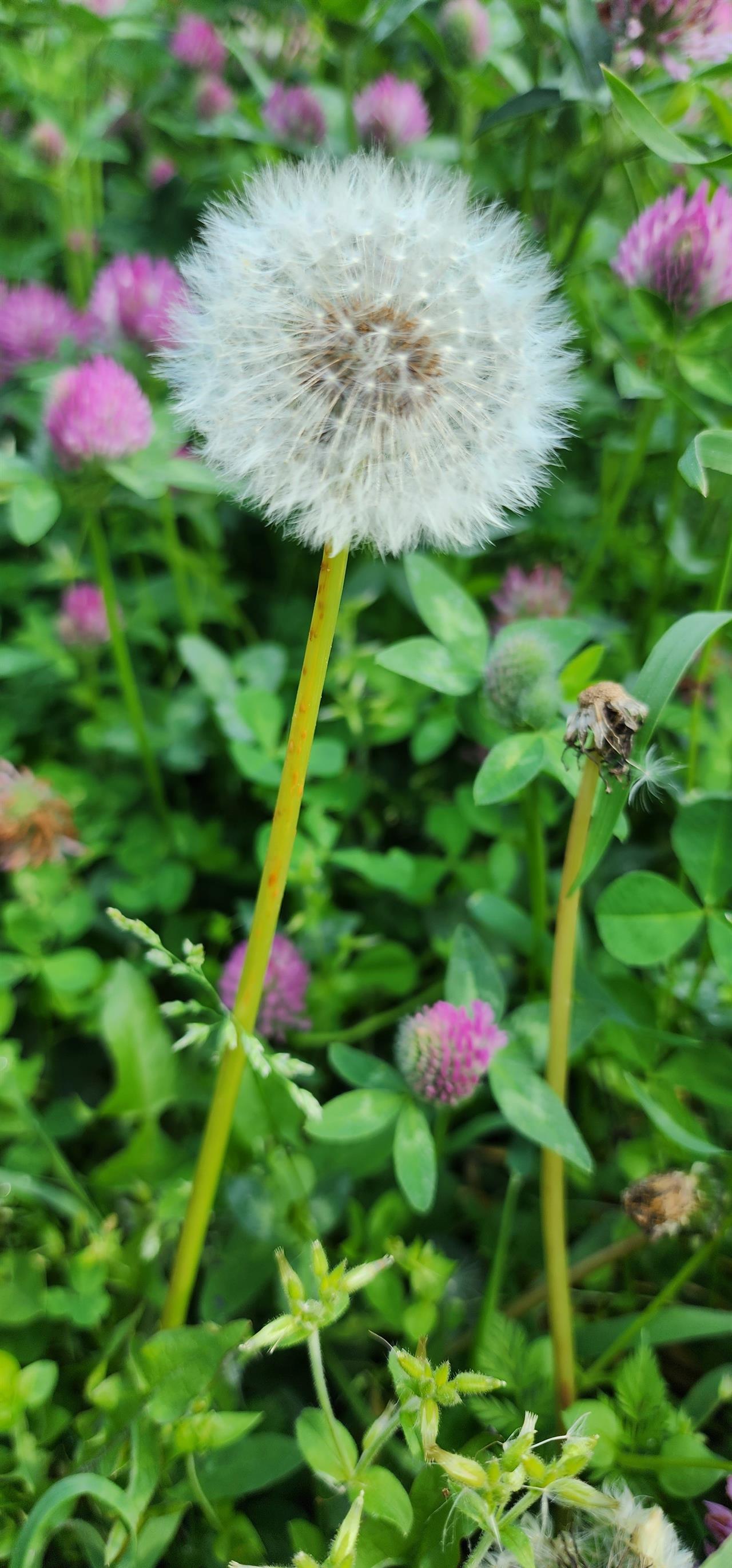ekşi sözlük - kutsal bilgi kaynağı