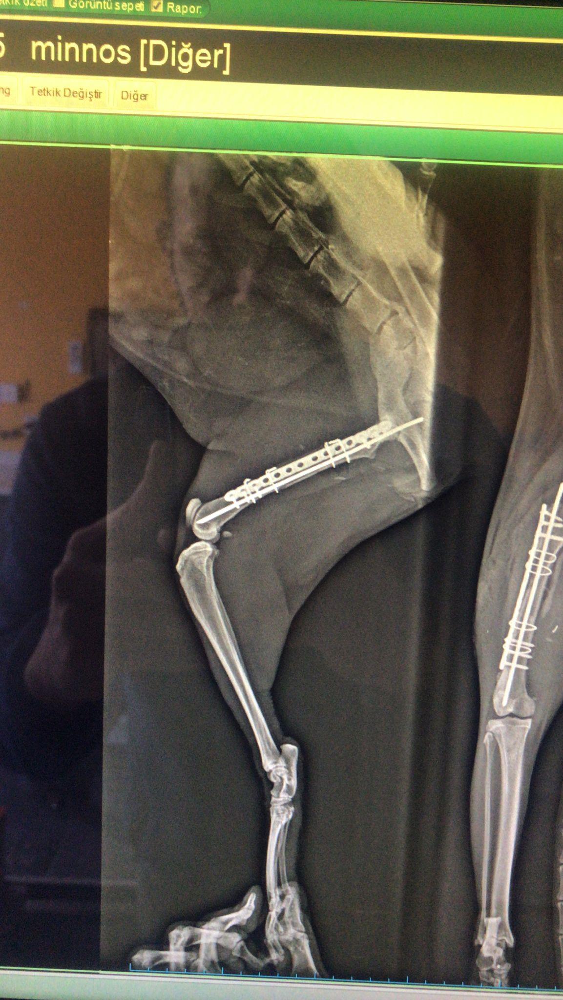 Ekşi Sözlük Kutsal Bilgi Kaynağı