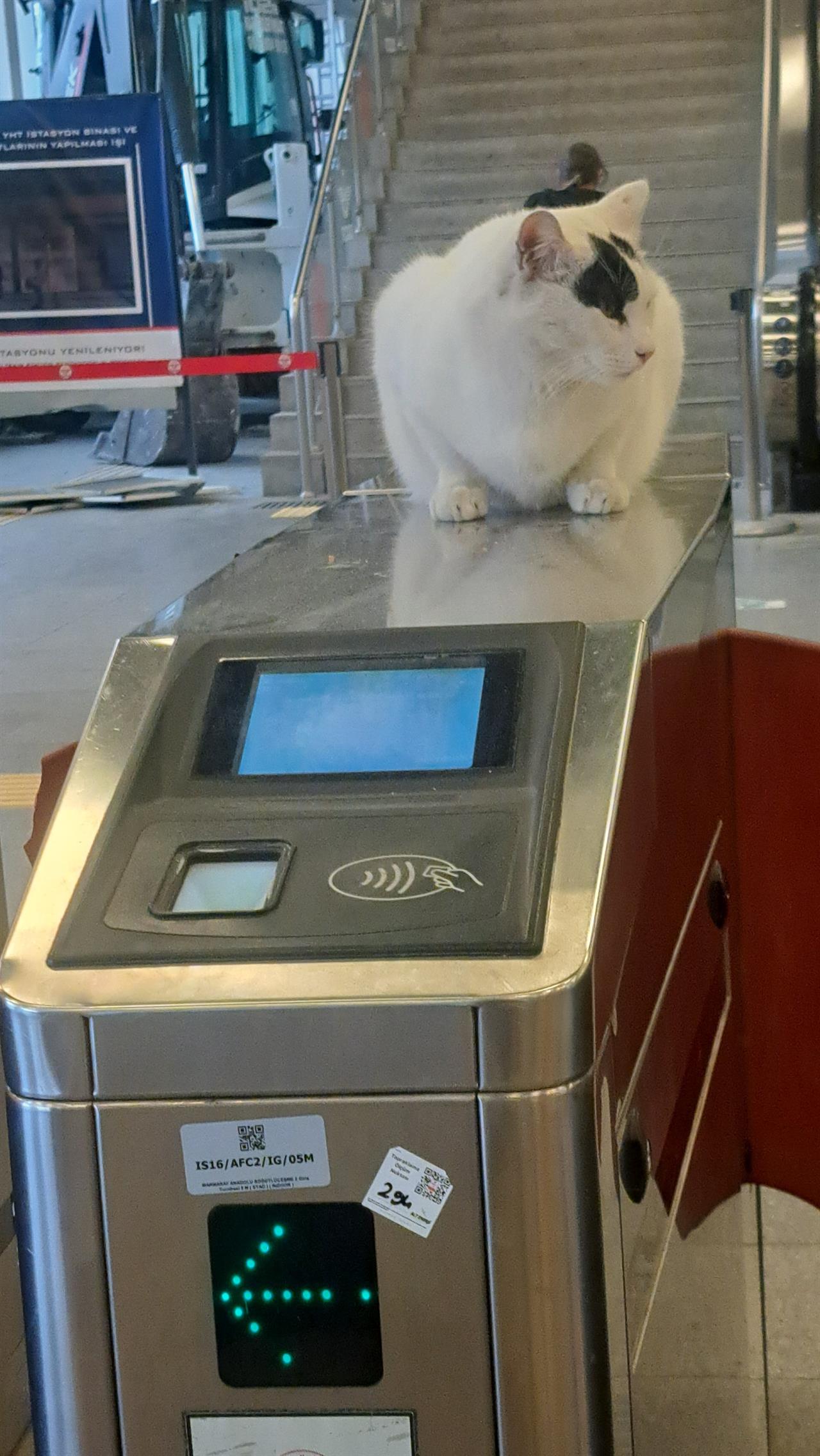 ekşi sözlük - kutsal bilgi kaynağı