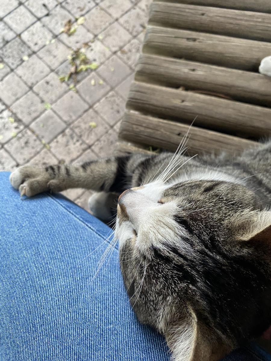 Ekşi Sözlük Kutsal Bilgi Kaynağı